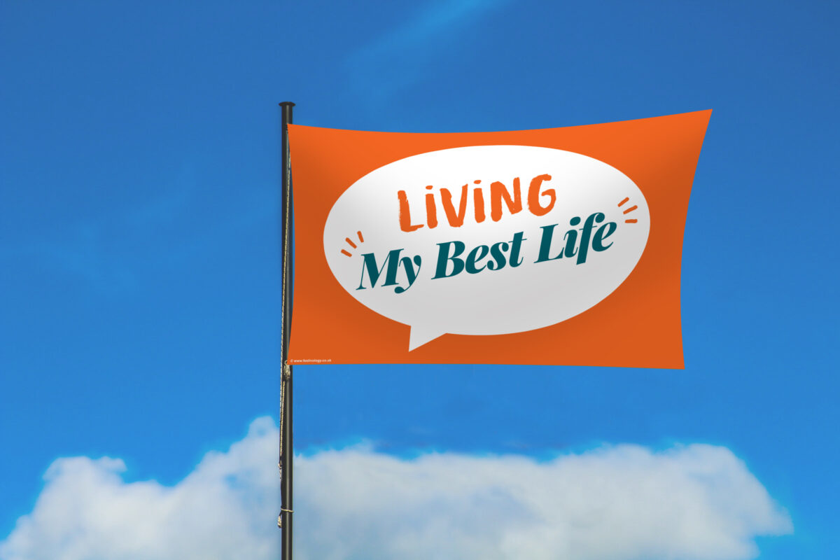 Living My Best Life Festivology Flag Pole Kit - Festivology ...